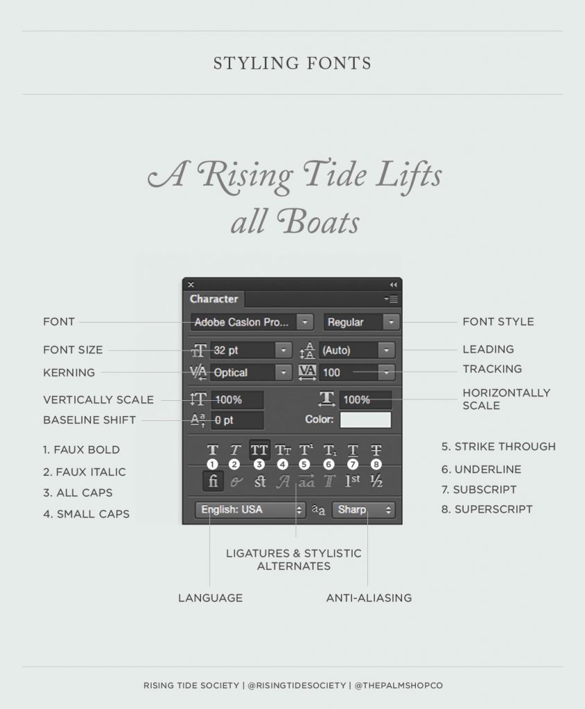 Typography 101: Understanding the Tools | HoneyBook