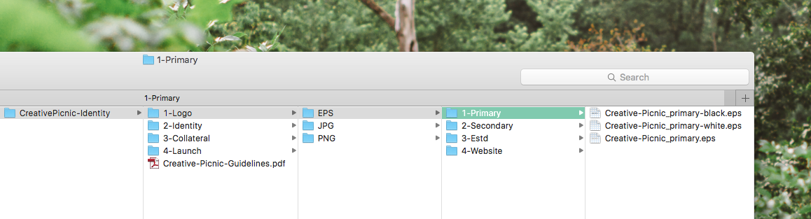 How to Use Your Primary Logo, Secondary Logo, and More | HoneyBook